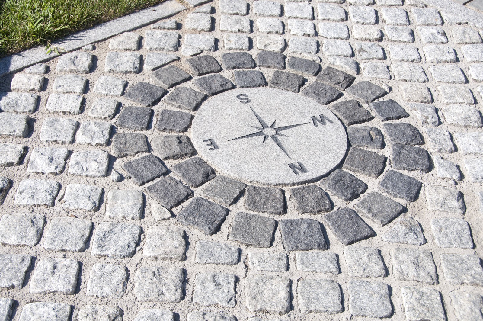 Add Year-Round Visual Interest to Your Yard with These Ornamental ...